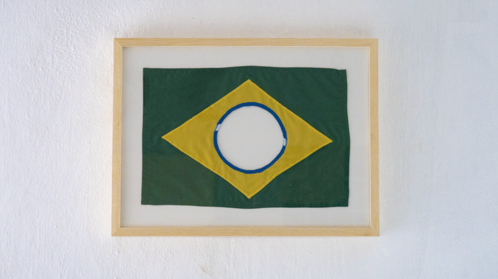 The New Brazilian Flag #2 - RATO